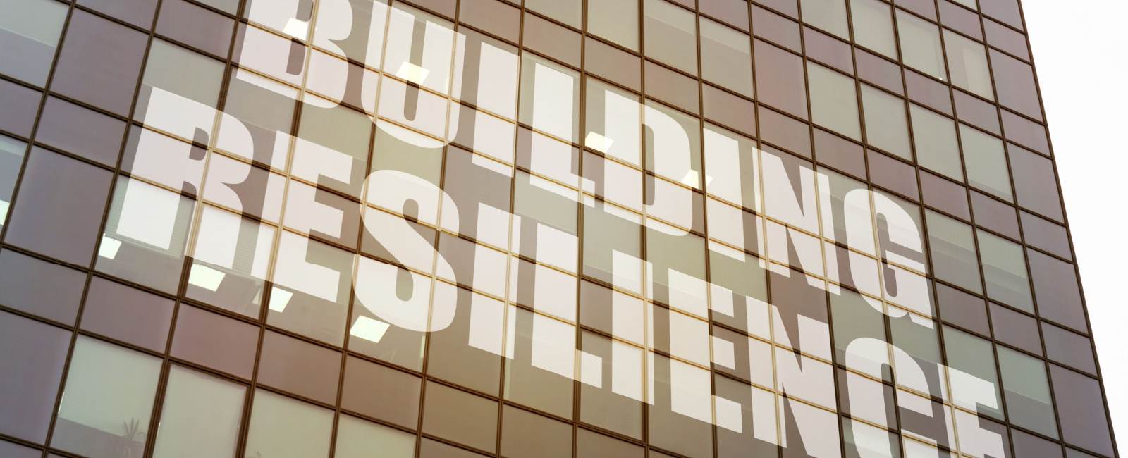 Building Resilience: How to Bounce Back from Adversity and Thrive - Se ...